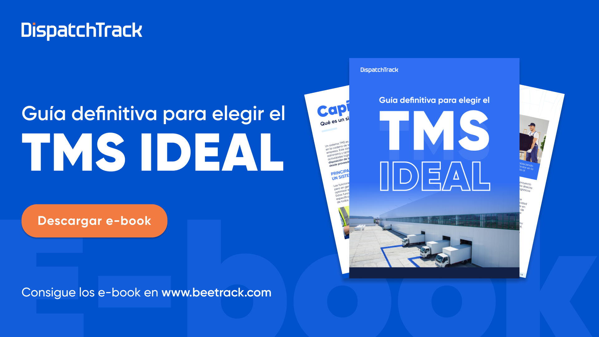Guía definitiva para elegir el TMS ideal