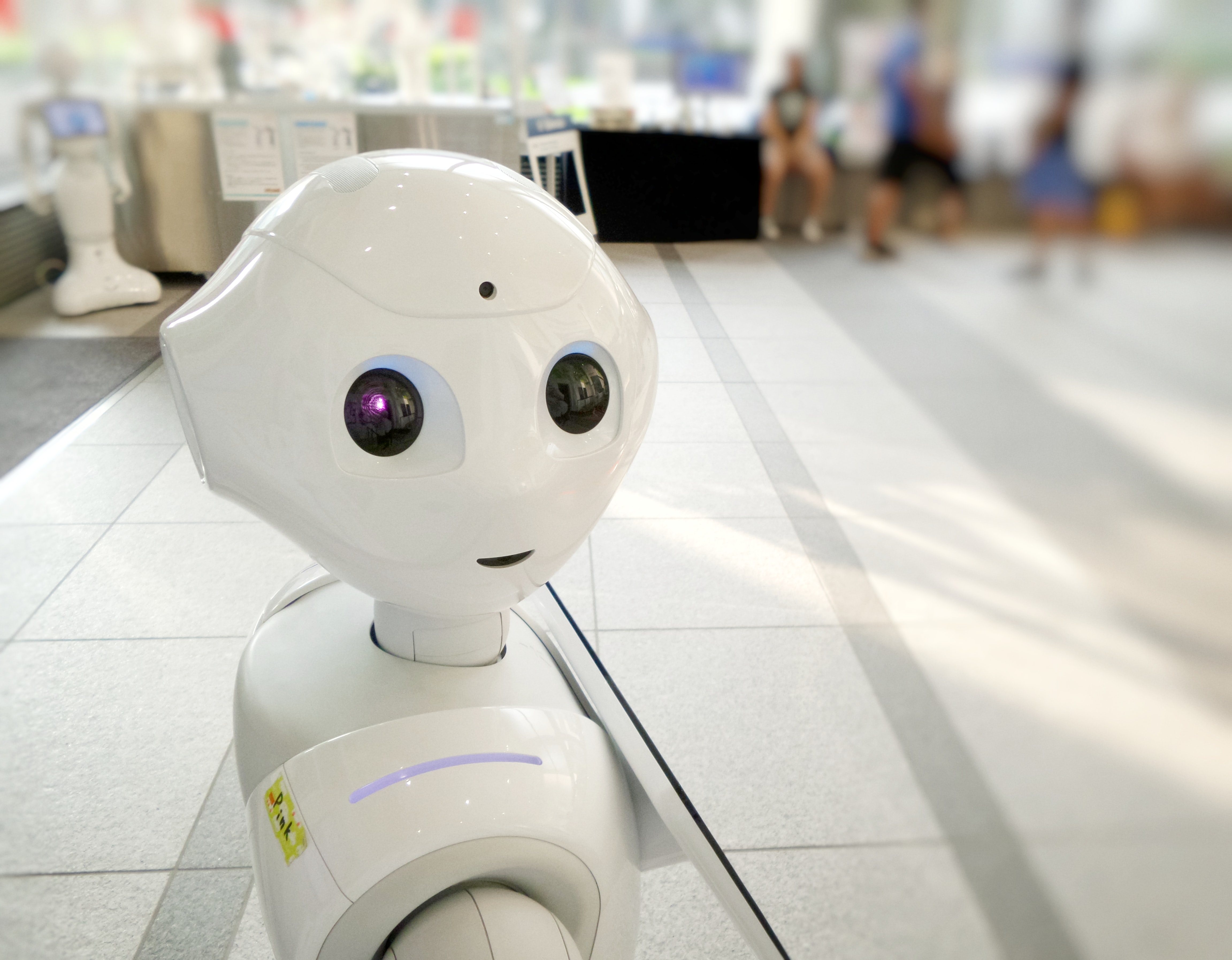 Ejemplos de Machine Learning: un paso más allá de la IA Ejemplos de Machine Learning: un paso más allá de la IA